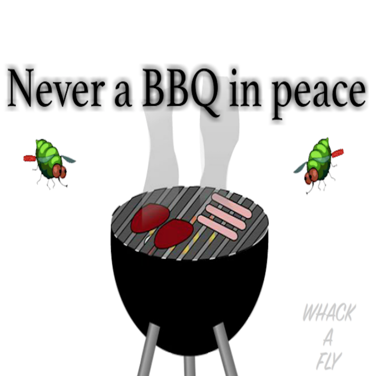 Whack A Fly - Gaming Chef